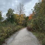 Moore Park Ravine Trail, Ontario, Canada - 1,212 Reviews, Map | AllTrails