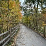 Moore Park Ravine Trail, Ontario, Canada - 1,212 Reviews, Map | AllTrails