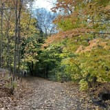 Moore Park Ravine Trail, Ontario, Canada - 1,212 Reviews, Map | AllTrails