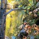 Hedge Creek Falls, California - 1,187 Reviews, Map | AllTrails