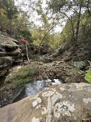2023 Best Forest Trails in Keystone Ancient Forest | AllTrails