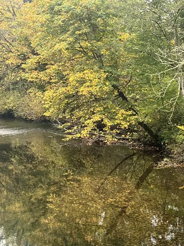 Best Hikes and Trails in Three Forks Park | AllTrails