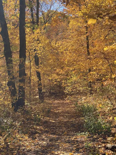 Best Hikes and Trails in Margo Frankel Woods State Park | AllTrails