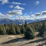 Bald Hills Loop, Alberta, Canada - 1,234 Reviews, Map | AllTrails