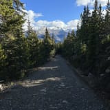 Bald Hills Loop, Alberta, Canada - 1,240 Reviews, Map | AllTrails