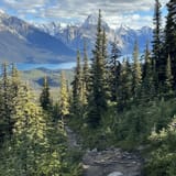 Bald Hills Loop, Alberta, Canada - 1,234 Reviews, Map | AllTrails