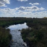 Rock Run Preserve Loop, Illinois - 333 Reviews, Map | AllTrails