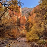 Spring Creek Canyon, Utah - 1,147 Reviews, Map | AllTrails