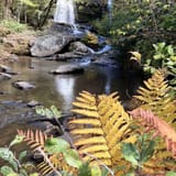 Long Creek Falls, South Carolina - 580 Reviews, Map | AllTrails