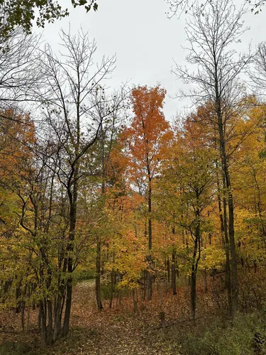 Best Hikes and Trails in Combined Locks | AllTrails