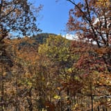 Blue Bend Loop Trail, West Virginia - 125 Reviews, Map | AllTrails