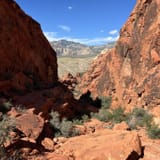 Guardian Angel Pass, Nevada - 1,705 Reviews, Map | AllTrails