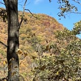 Blue Bend Loop Trail, West Virginia - 125 Reviews, Map | AllTrails