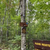 Muskrat Lake Trail, New York - 4 Reviews, Map | AllTrails