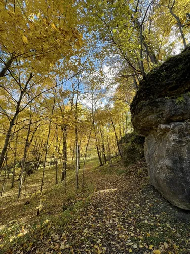 Best Hikes and Trails in Brush Creek Canyon Park | AllTrails