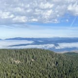 Larch Mountain Trail, Oregon - 709 Reviews, Map | AllTrails