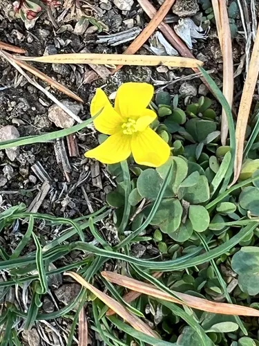 Best Hikes and Trails in Hauser Conservation Area | AllTrails