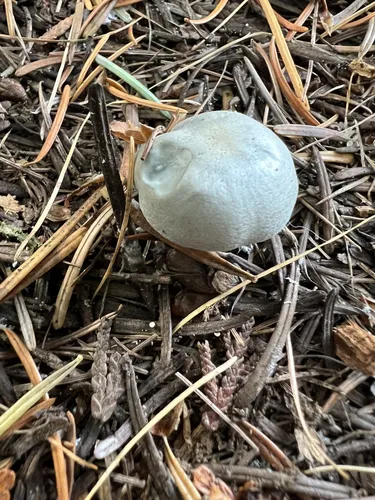 Best Hikes and Trails in Hauser Conservation Area | AllTrails