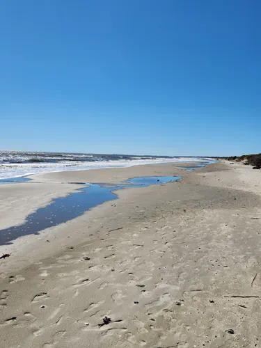 Best Hikes and Trails in Cape Romain National Wildlife Refuge | AllTrails