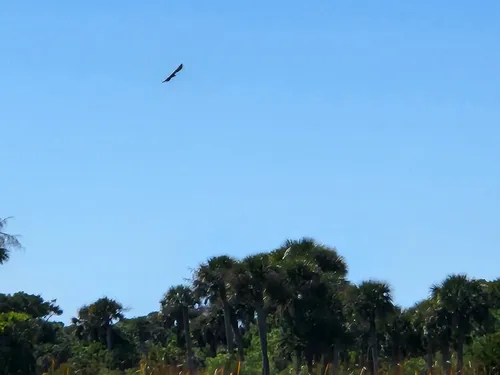 Best Hikes and Trails in Cape Romain National Wildlife Refuge | AllTrails