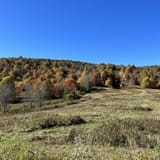 Max Patch Loop, North Carolina - 2,031 Reviews, Map | AllTrails