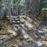 Inner Basin Trail, Arizona - 881 Reviews, Map | AllTrails