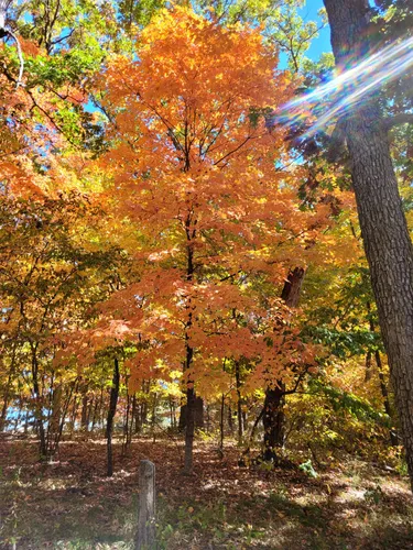 Best Hikes and Trails in John Spalding Recreation Area | AllTrails