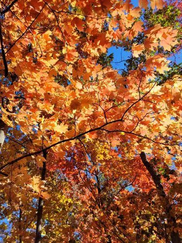 Best Hikes and Trails in John Spalding Recreation Area | AllTrails