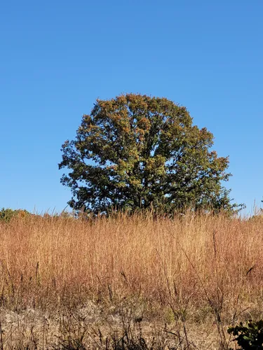 Best Hikes and Trails in John Spalding Recreation Area | AllTrails