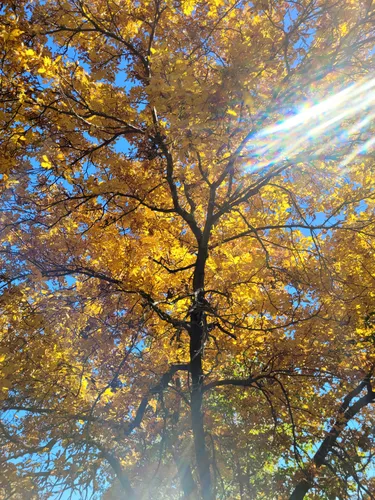 Best Hikes and Trails in John Spalding Recreation Area | AllTrails