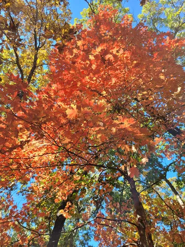 Best Hikes and Trails in John Spalding Recreation Area | AllTrails