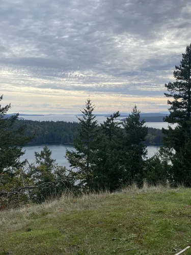 Best Hikes and Trails in Matthews Point Regional Park | AllTrails