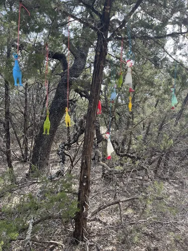 Best Hikes and Trails in Parrie Haynes Ranch | AllTrails