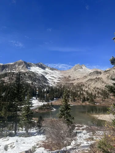 Best Hikes and Trails in Gothic Natural Area | AllTrails