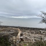 Bayocean Peninsula, Oregon - 710 Reviews, Map | AllTrails