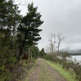 Bayocean Peninsula, Oregon - 710 Reviews, Map | AllTrails