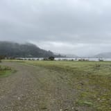 Bayocean Peninsula, Oregon - 710 Reviews, Map | AllTrails