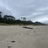 Bayocean Peninsula, Oregon - 710 Reviews, Map | AllTrails