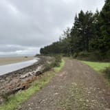 Bayocean Peninsula, Oregon - 636 Reviews, Map | AllTrails