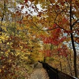 Winchell Trail, Minnesota - 703 Reviews, Map | AllTrails