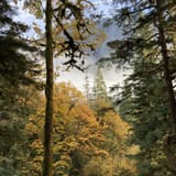Middle Fork Snoqualmie River Trail, Washington - 926 Reviews, Map ...