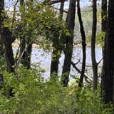 Sippo Lake Trail, Ohio - 709 Reviews, Map | AllTrails