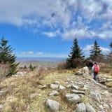 Wilburn Ridge via Appalachian Trail, Virginia - 1,761 Reviews, Map ...