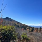 Wilburn Ridge via Appalachian Trail, Virginia - 1,732 Reviews, Map ...