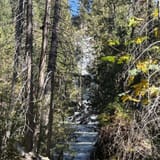 Spaulding Lake Trail, California - 1,231 Reviews, Map | AllTrails