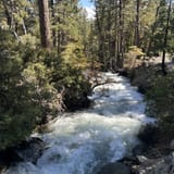Spaulding Lake Trail, California - 1,231 Reviews, Map | AllTrails