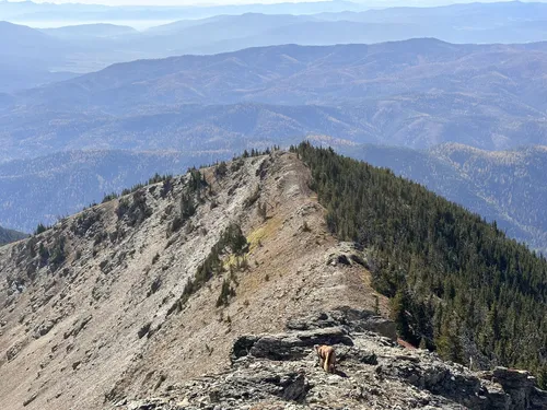 Best 10 Hiking Trails in Mission Mountains Wilderness | AllTrails