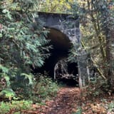 Iron Goat Trail, Washington - 1,334 Reviews, Map | AllTrails