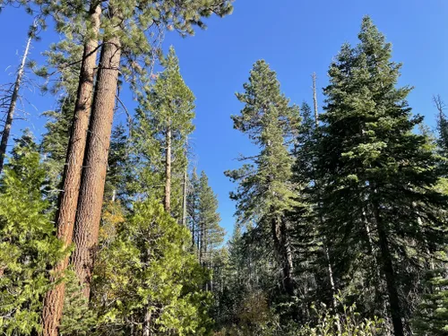 10 Best Trails and Hikes in Tahoe City | AllTrails