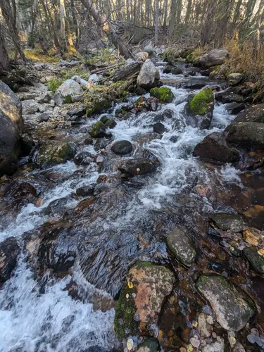 Best Backpacking Trails in Great Basin National Park | AllTrails